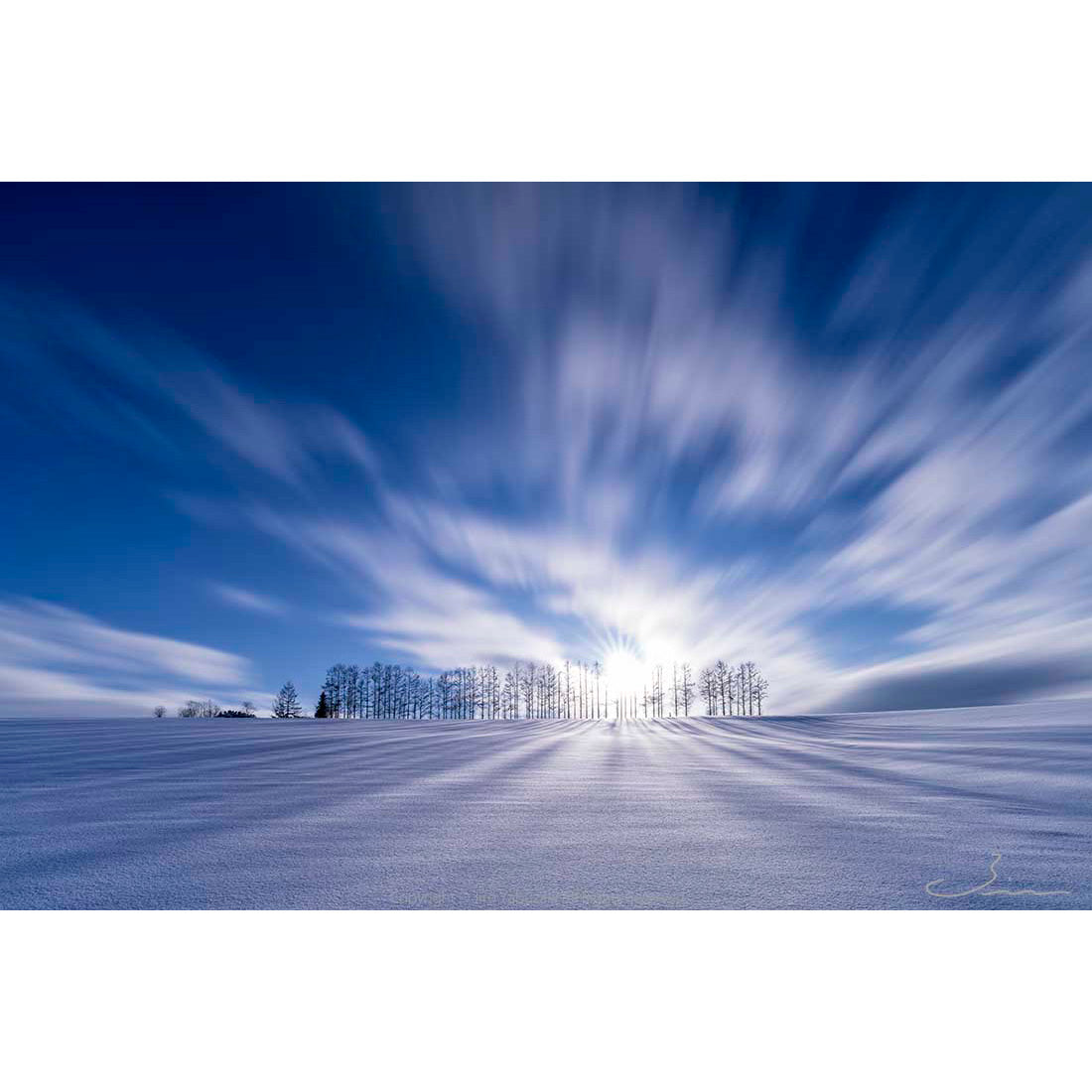 Fairy Wings – Jiro Yabuzaki Official Online Shop